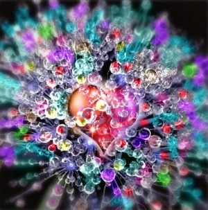 10 Tips for Finding Your Joy - My Wellness Counts